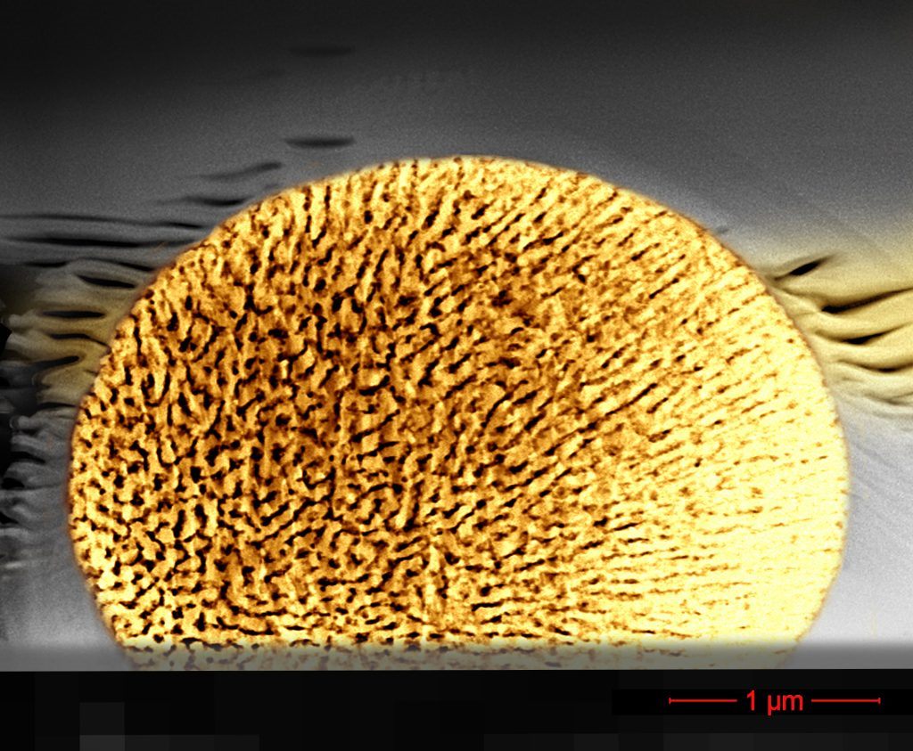 Research – Pokroy Lab