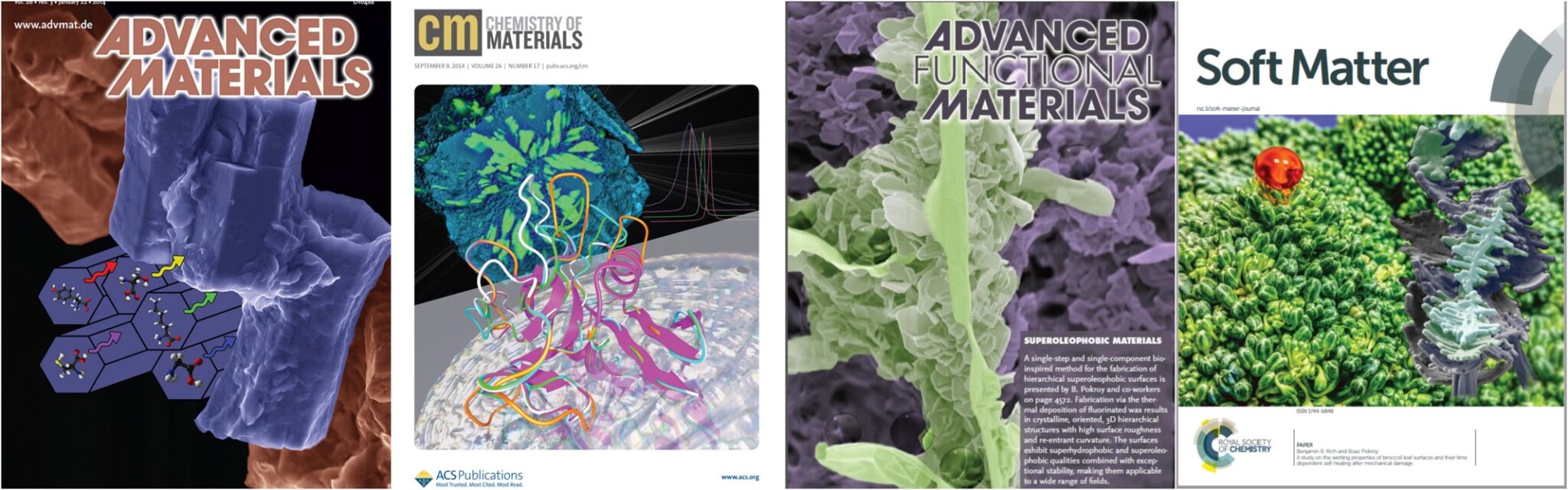 Publications – Pokroy Lab